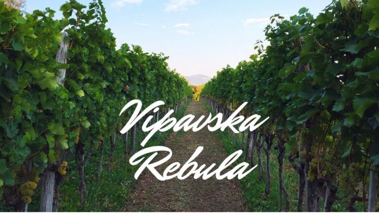 Slovenian Wine: Rebula from Vipava Valley - Wine Travel