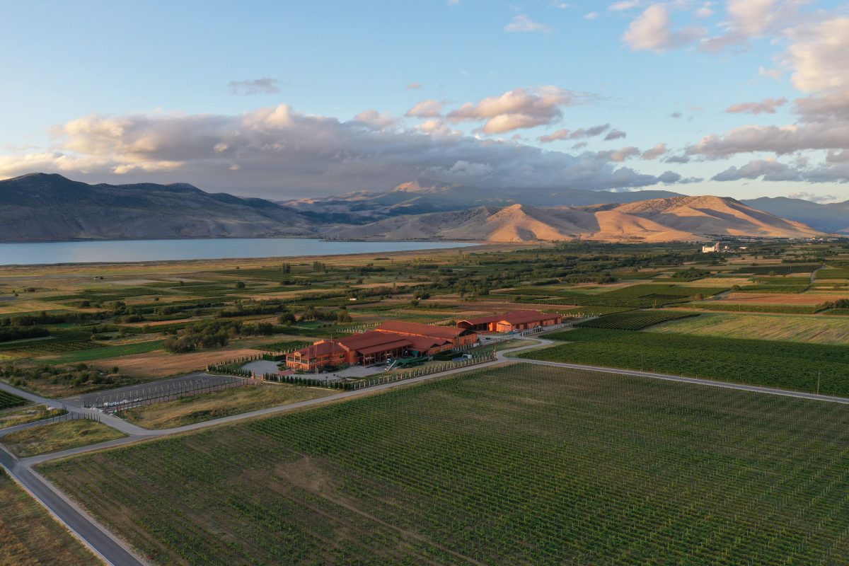 Alpha Estate: Greek Wine With Style - Wine Travel