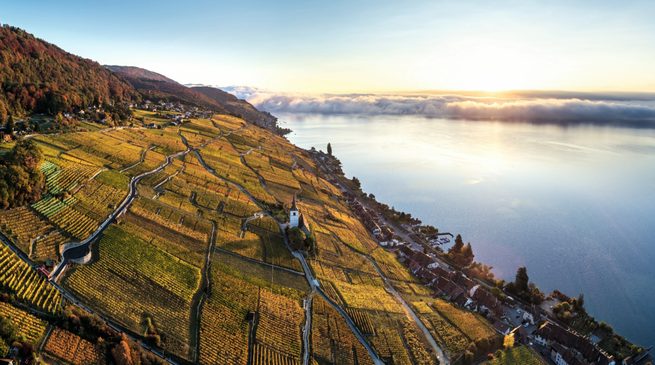 Ultimate Guide To Switzerland Wine Country