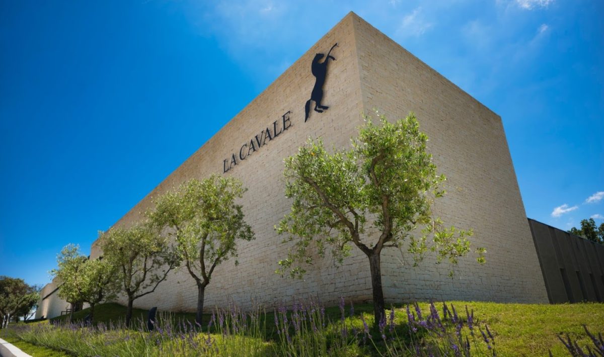 7 Best Wineries in Provence, France